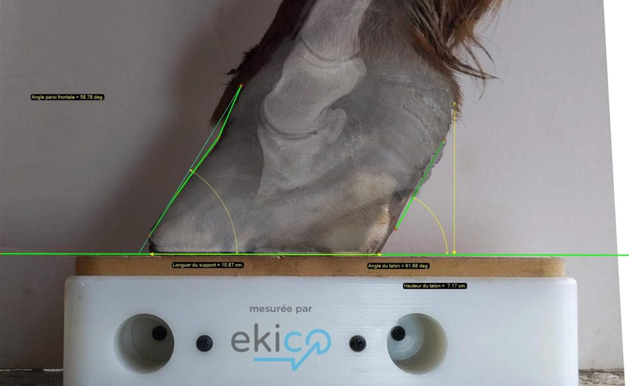 🇫🇷 France - January 2020 • Ekico