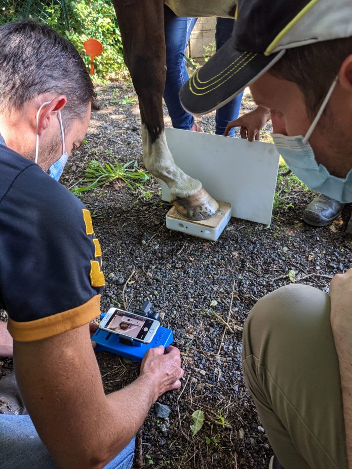 🇫🇷 France - July 2021 • Ekico