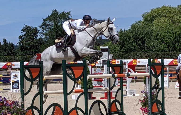 Acute rupture of the SDFT of a showjumper horse