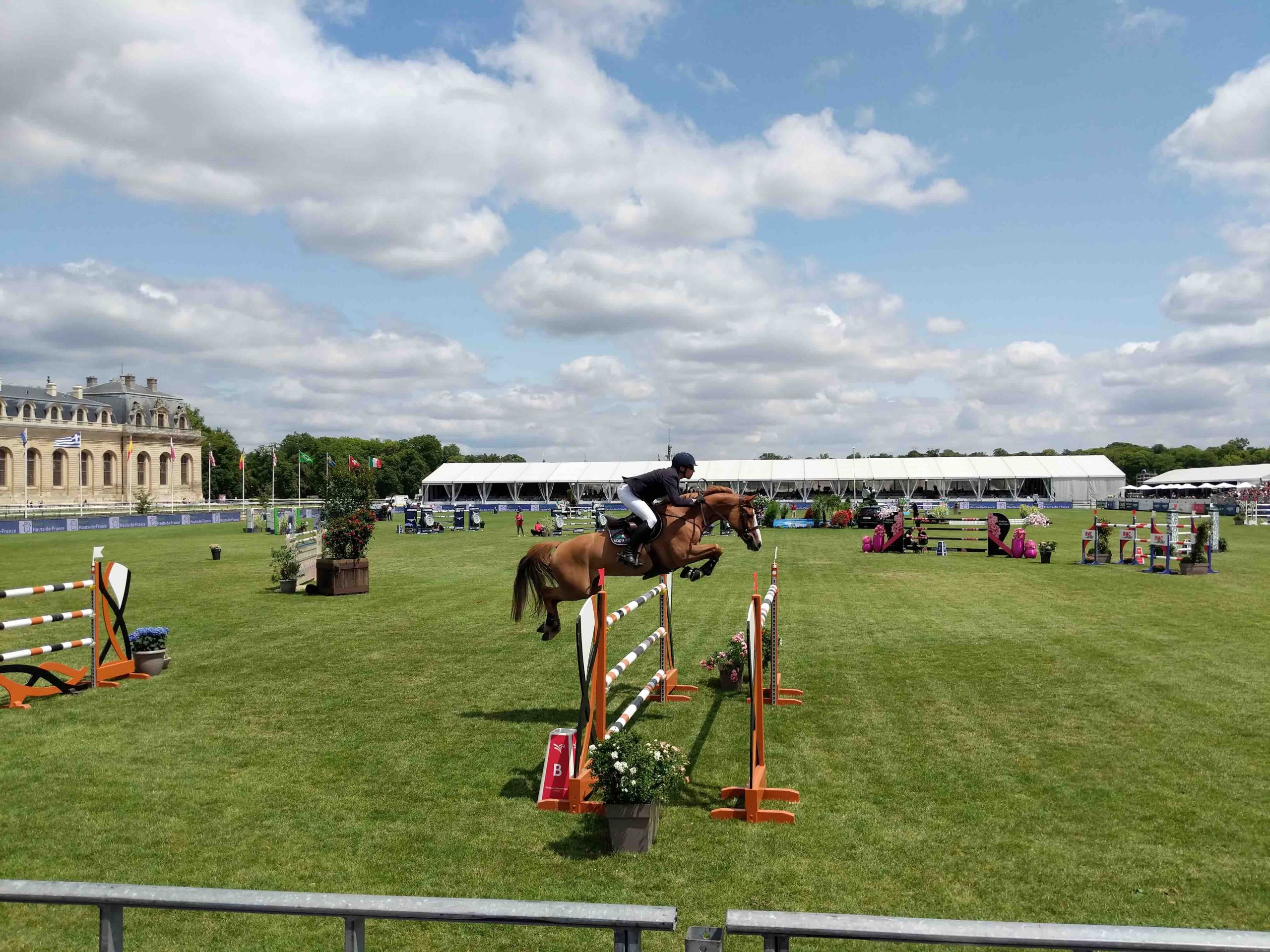 La baisse de performance du cheval de sport • Ekico