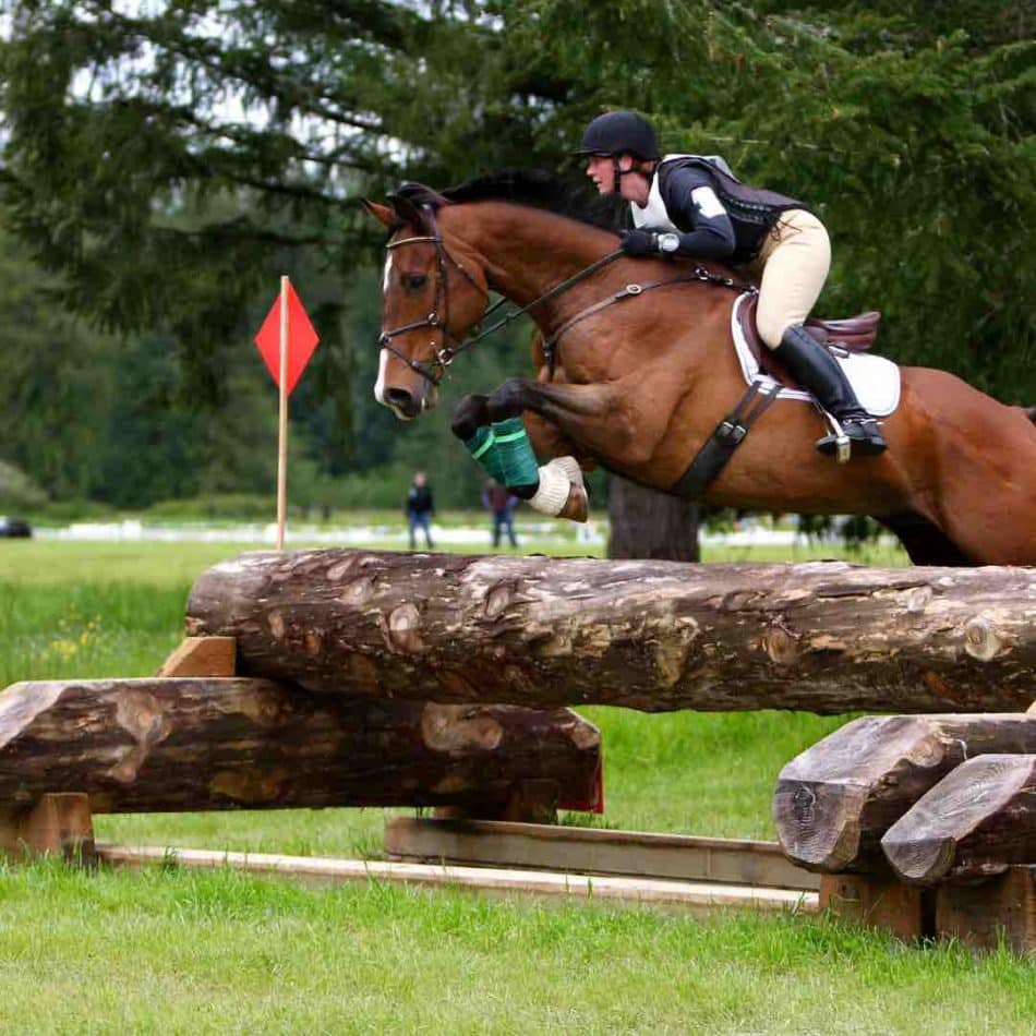 Les chevaux de CCE au sein de l’armée française • Ekico