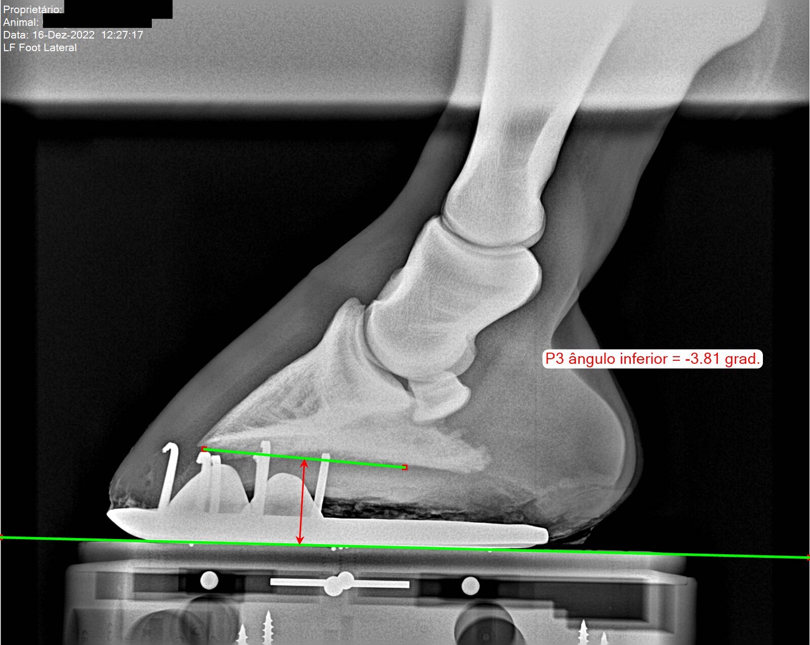 Monitoring of the hooves & limbs of foals • Ekico