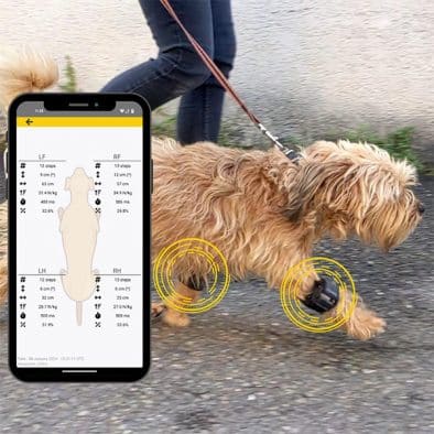 Dog gait analysis Tendiboots™ canine • Ekico