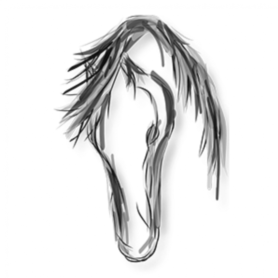 Horse Sacroiliac Pain • Ekico