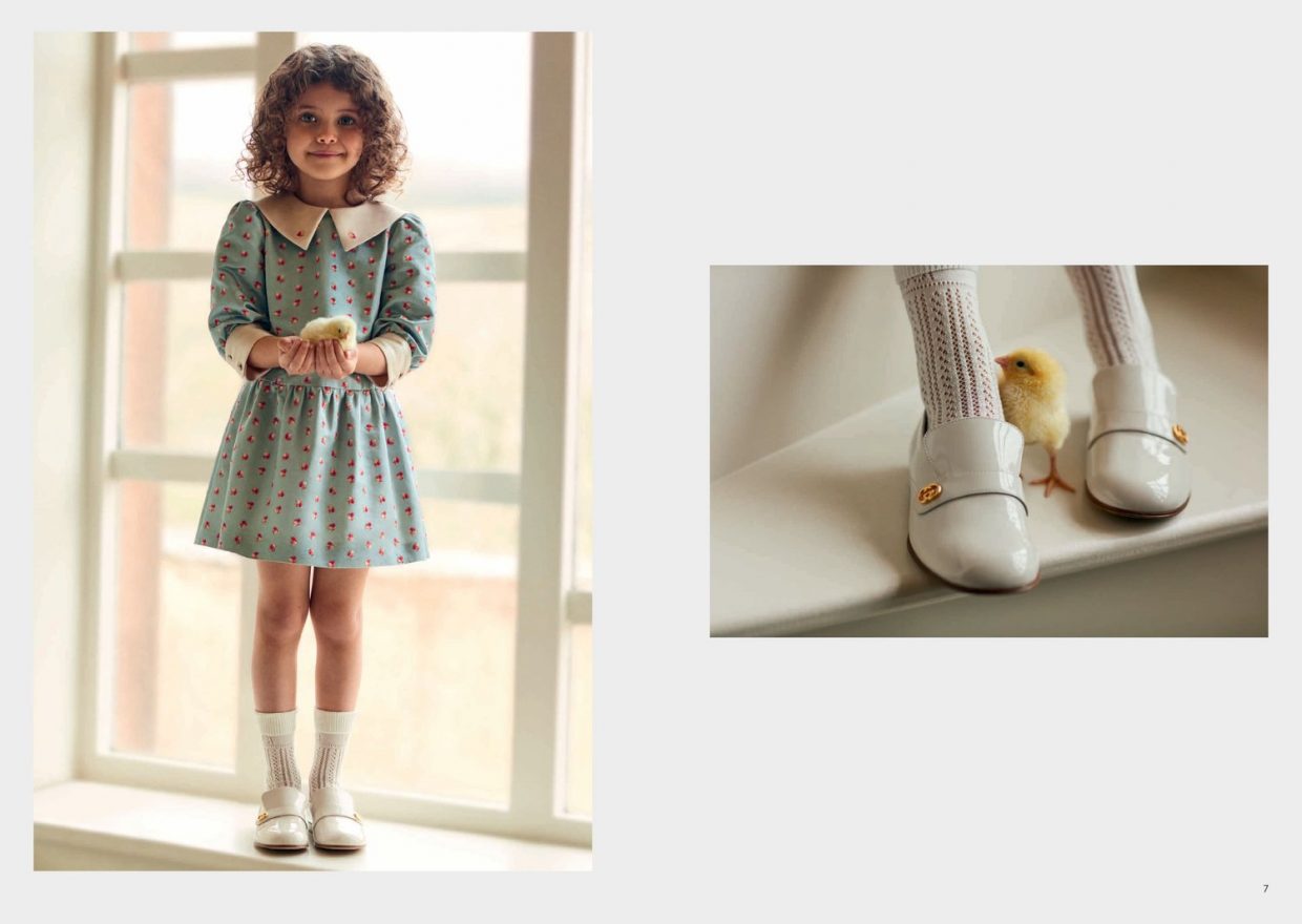 Vet On Set: Dedicated to Animal Welfare • Ekico