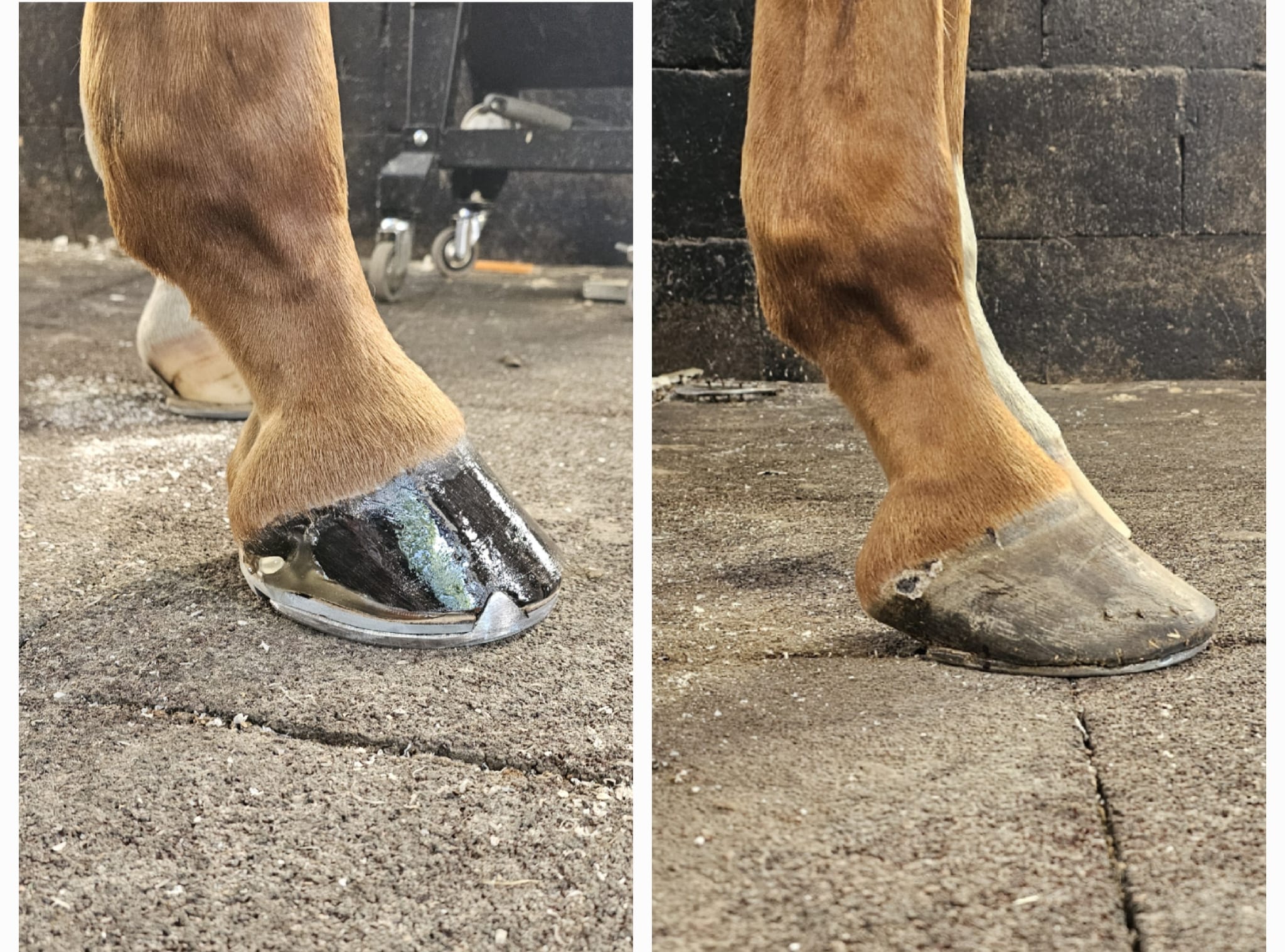 Negative palmar angle and deep flexor tendon injury • Ekico