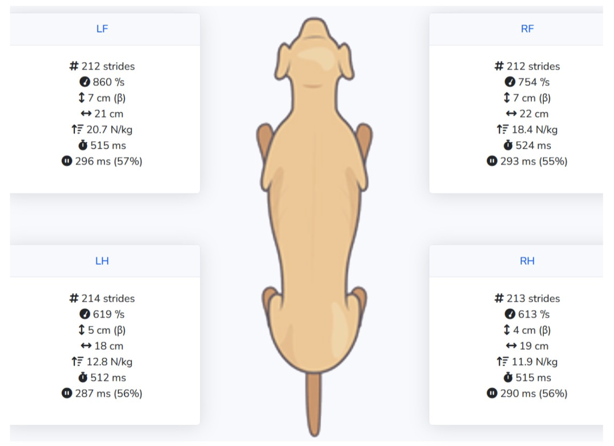 TPLO in Dogs • Ekico