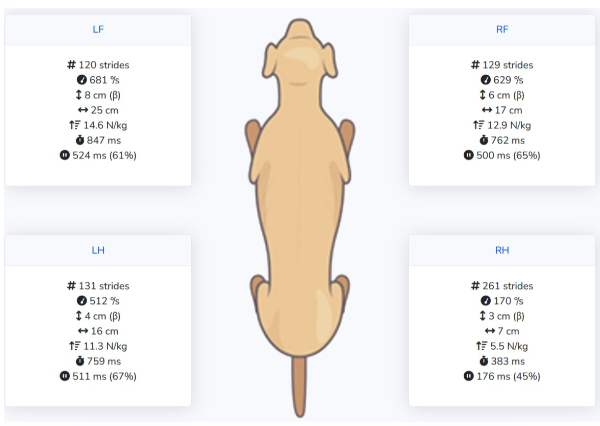 TPLO in Dogs • Ekico
