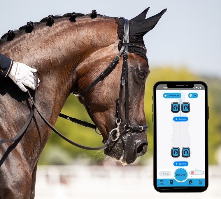 Tendiboots™ Equine horse locomotion analysis • Ekico