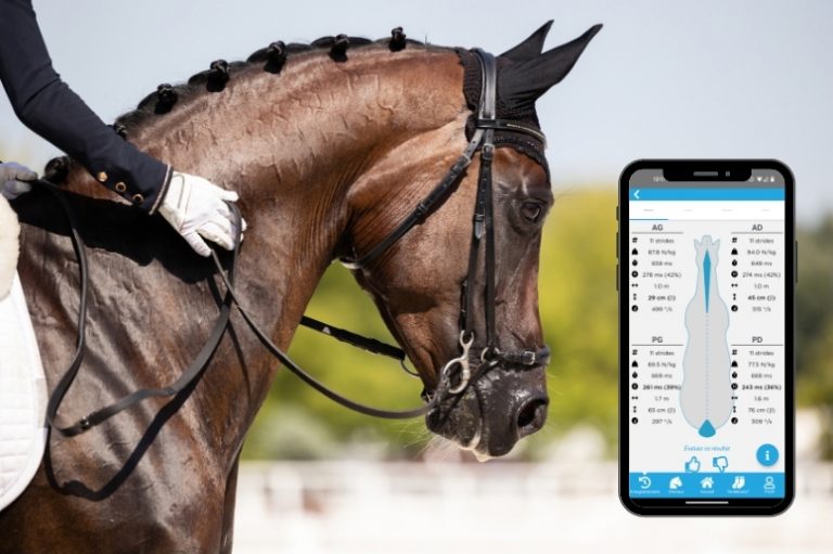 Tendiboots™ Equine horse locomotion analysis • Ekico