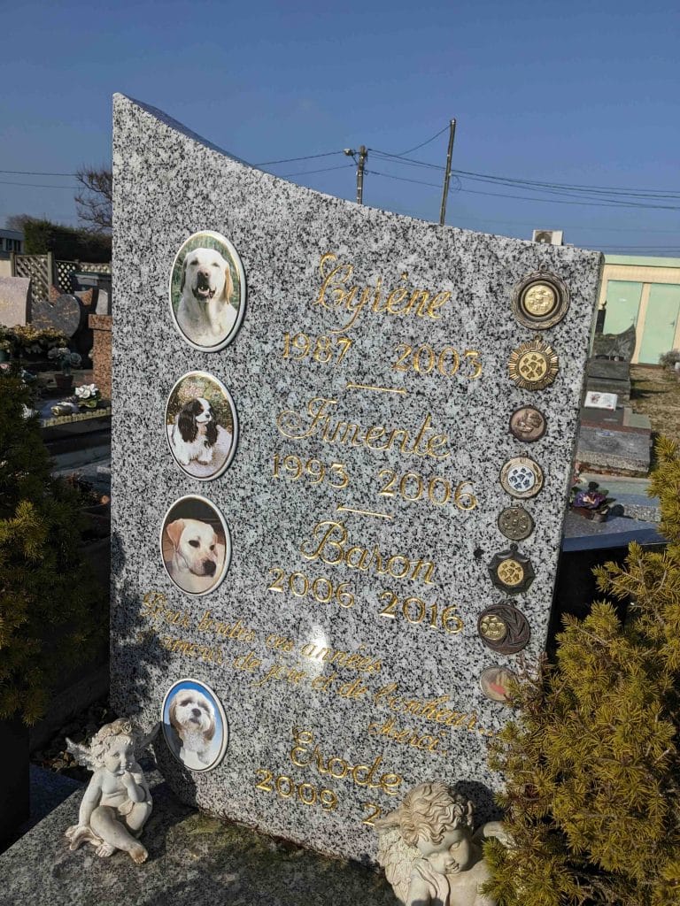 The loss of your dog • Ekico