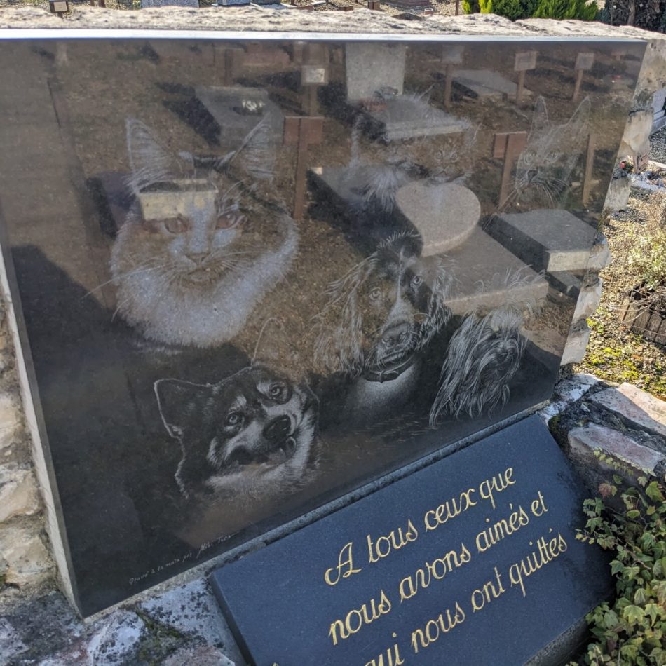 The loss of your dog • Ekico